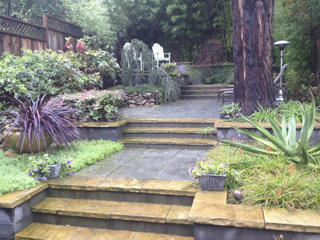 Terraced Terraces » Sculpt Gardens | Design + Build